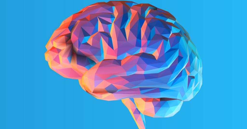 Snapshot: What is the pons? - National Ataxia Foundation