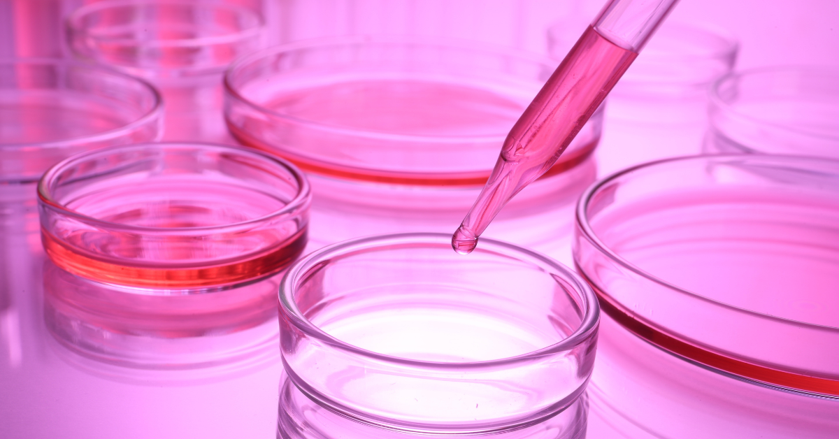 Snapshot What Are Induced Pluripotent Stem Cells Ipscs National Ataxia Foundation