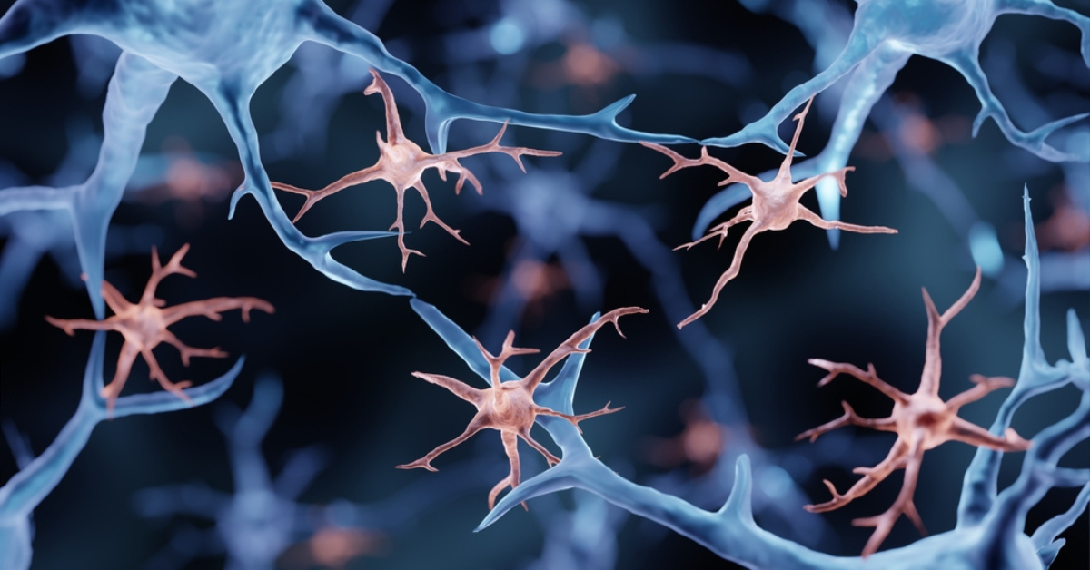 Snapshot: What are Microglia? - National Ataxia Foundation