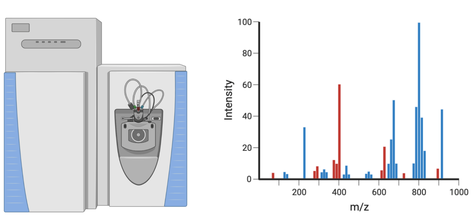 Snapshot: What is Mass Spectrometry? - National Ataxia Foundation