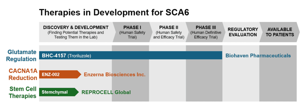 SCA6 - National Ataxia Foundation